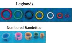 Rochester Hatchery is Canada's larget spring hatchery, specializing in ...